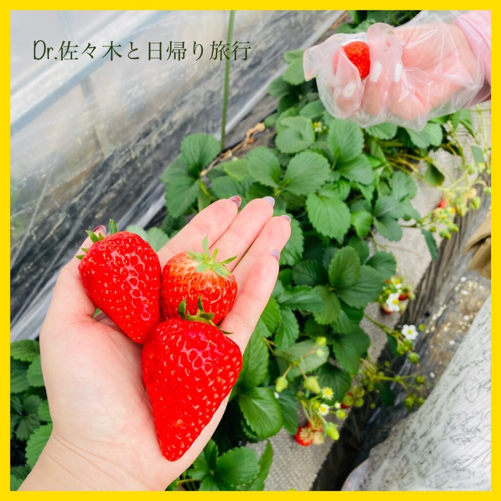 Dr.佐々木と日帰り旅行★ ｜WOM SALON(ワムサロン)